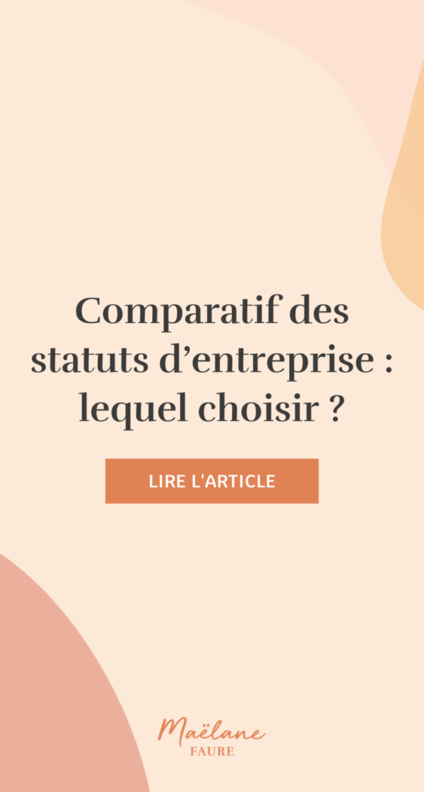 Comparatif des différents statuts d’entreprise : on fait le point – Maëlane Faure